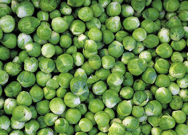 PEFANIS A.E. Fruit & Vegetables | Agios Ioannis Rendis Attica ...